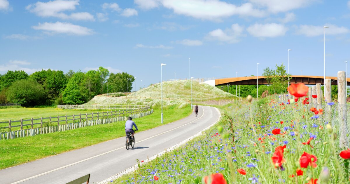 ELOR Active Travel Bridges - Bridges - Knight Architects